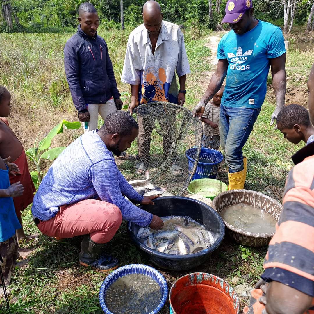 A Young Aquaculture Practitioner Wants More Support for Inland Fish ...