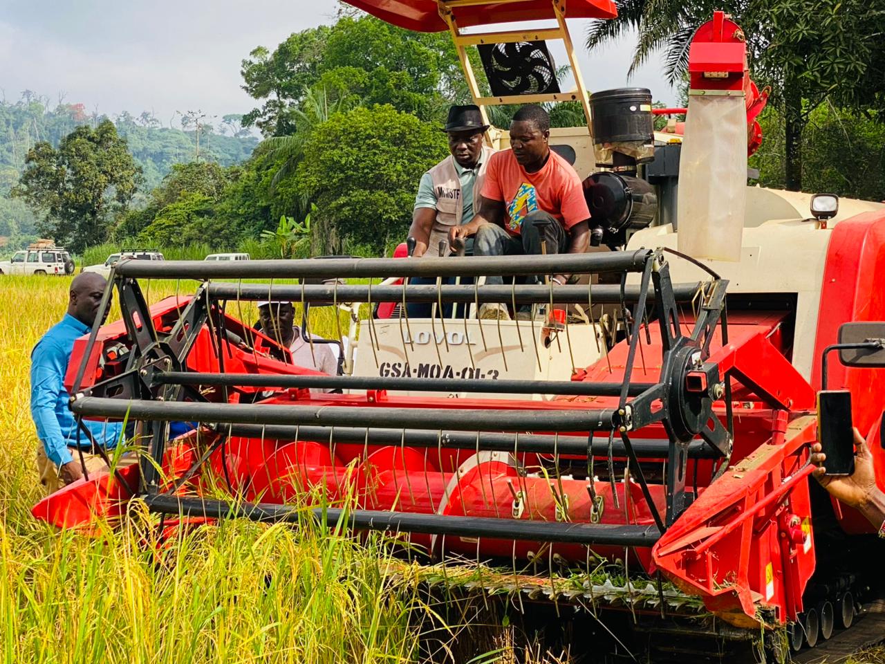 Agriculture Emerges as Liberia’s Growth Engine in 2024, According to ...