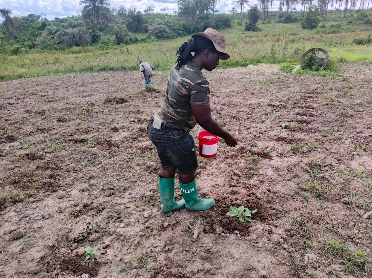 Future Farmers of Liberia: Women Leading the Way in Agricultural ...