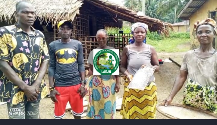 10-Acre Cassava Farm Rots in River Gee Due to Poor Roads, Lack of a ...