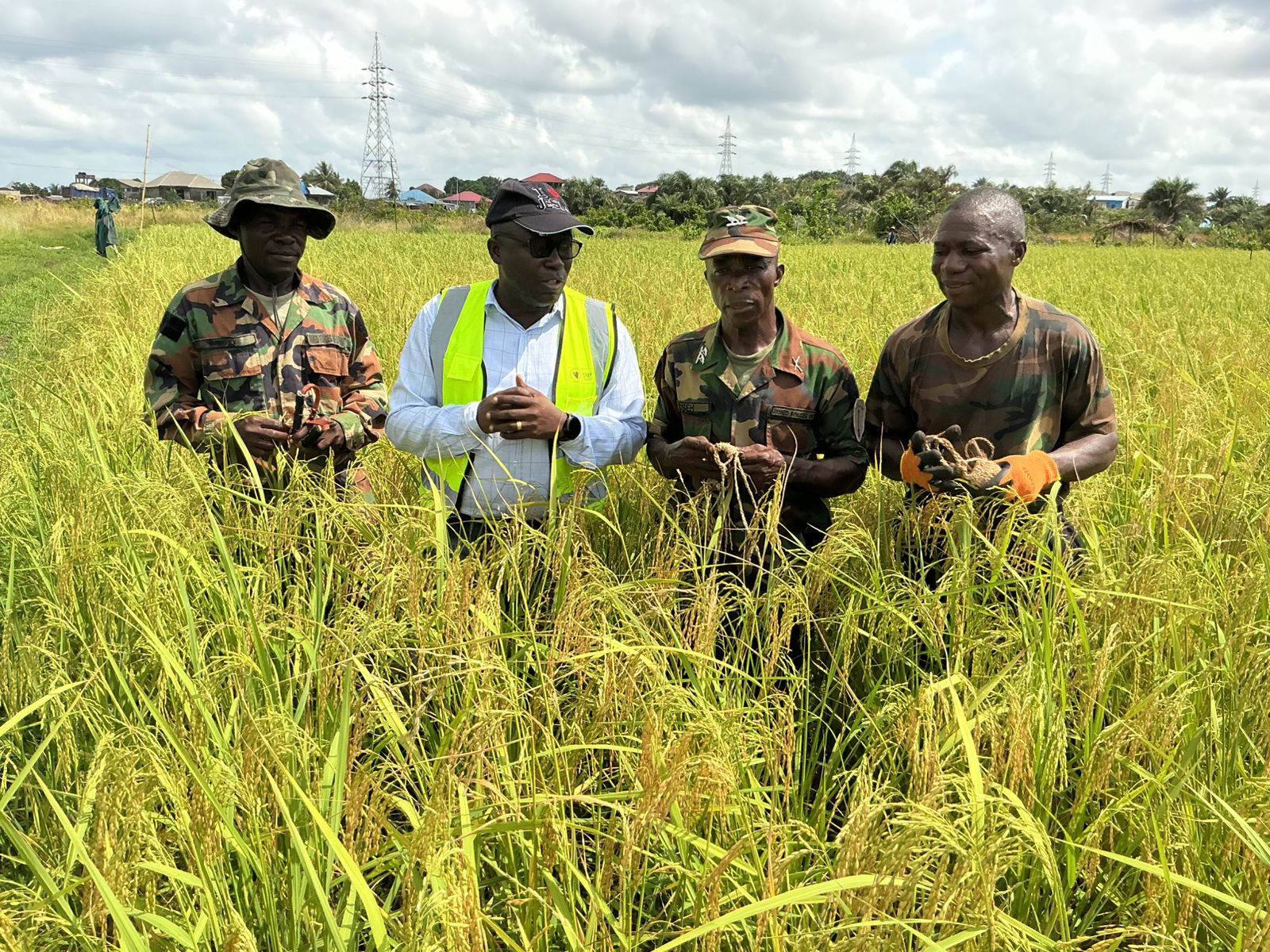 CHAP, AFL Partner to Revitalize Military Agriculture—Pilot Rice Project ...