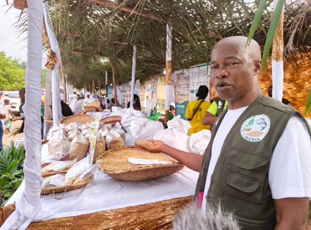 From Seed to Security: How Liberia’s New Seed Agency Is Rewriting the ...